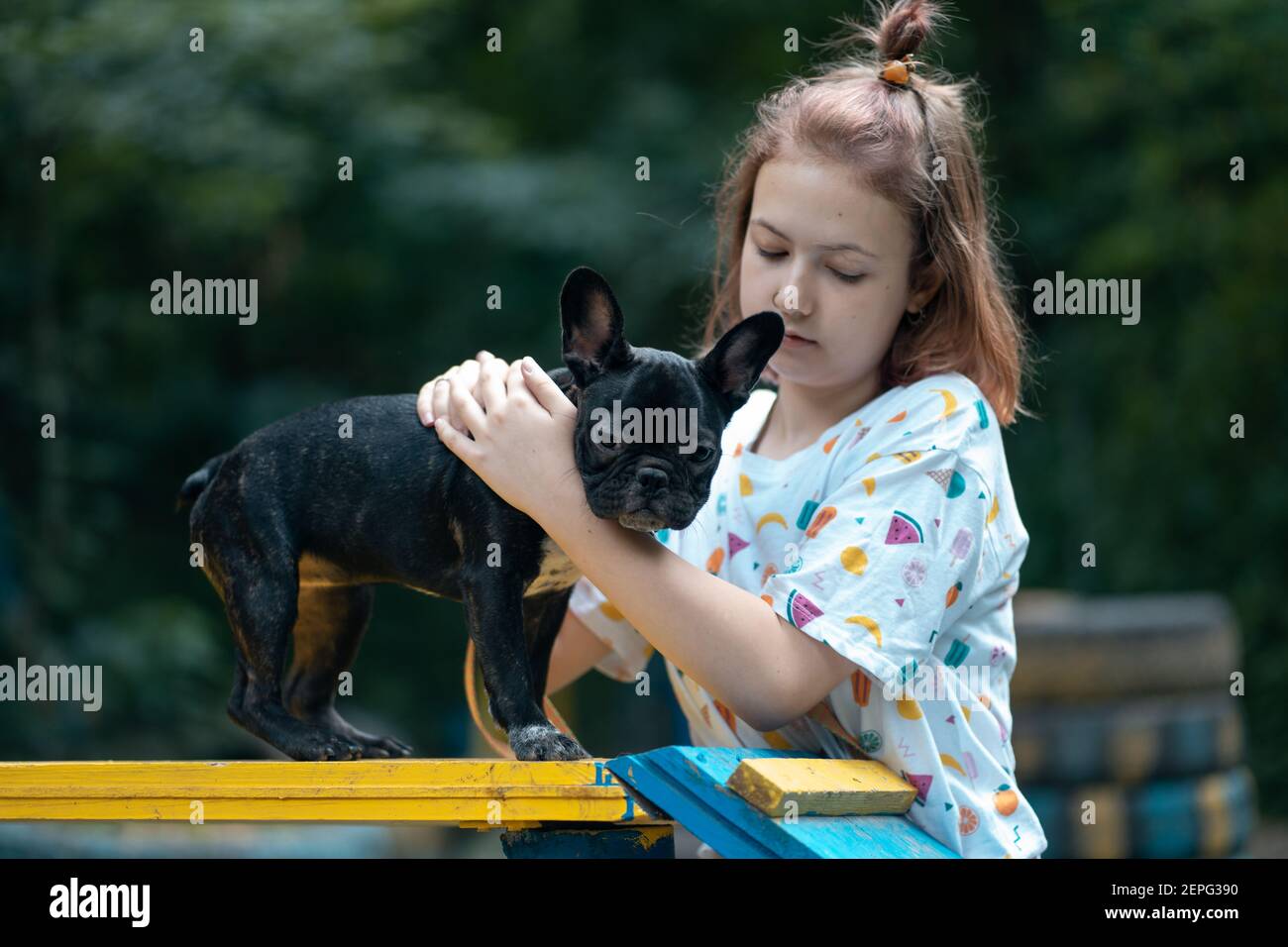 kid play and train french bulldog or puppy at playground at park in ...