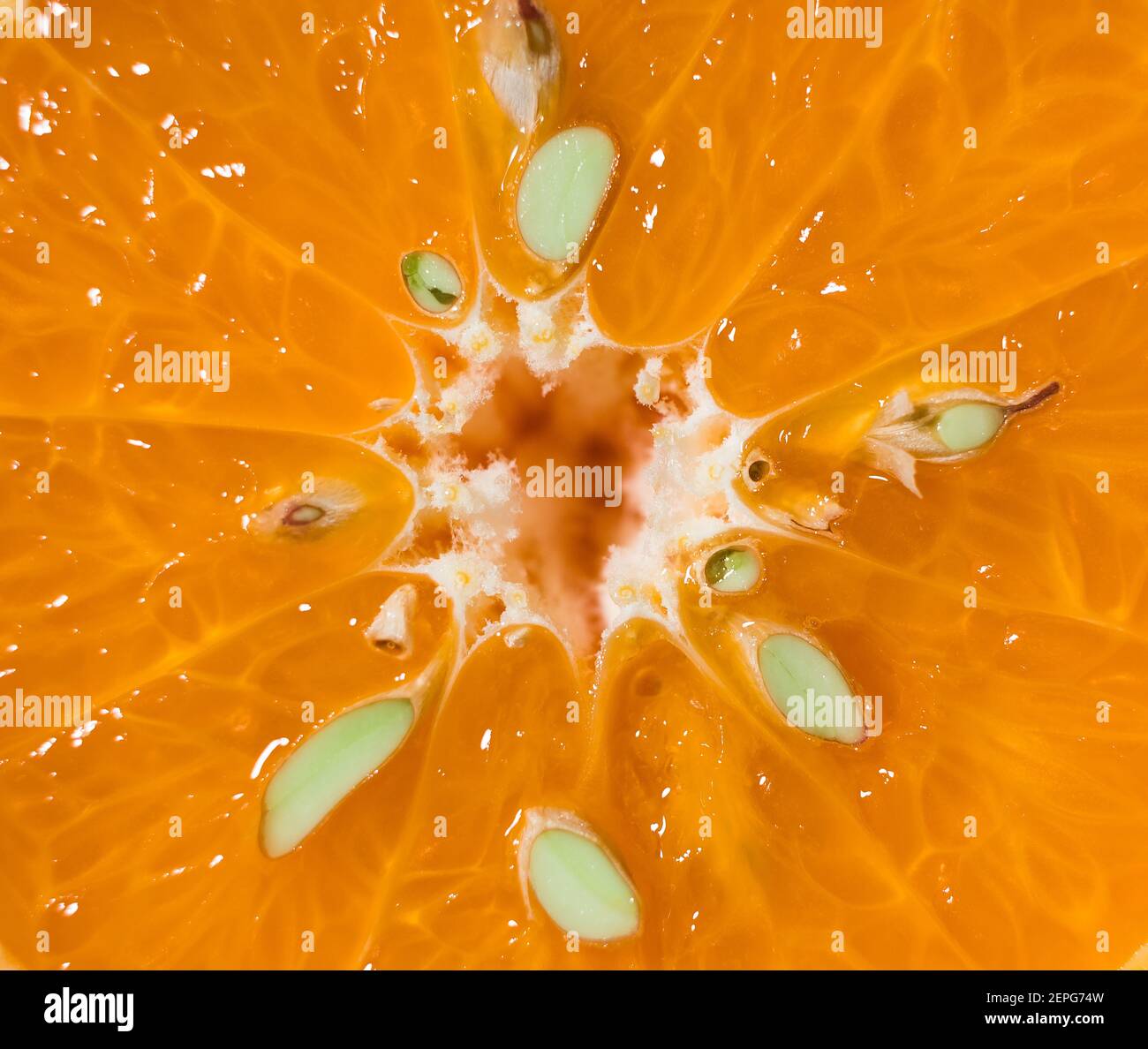 bright tangerine cut seed middle citrus fruit Stock Photo - Alamy