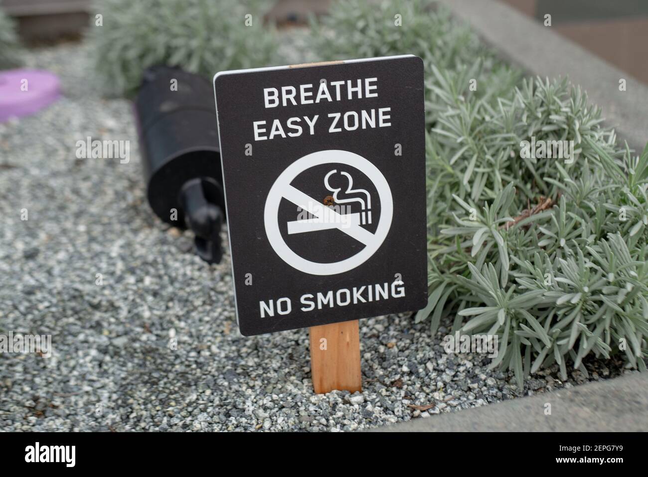 No smoking sign reading Breathe Easy Zone in the Mission Bay ...