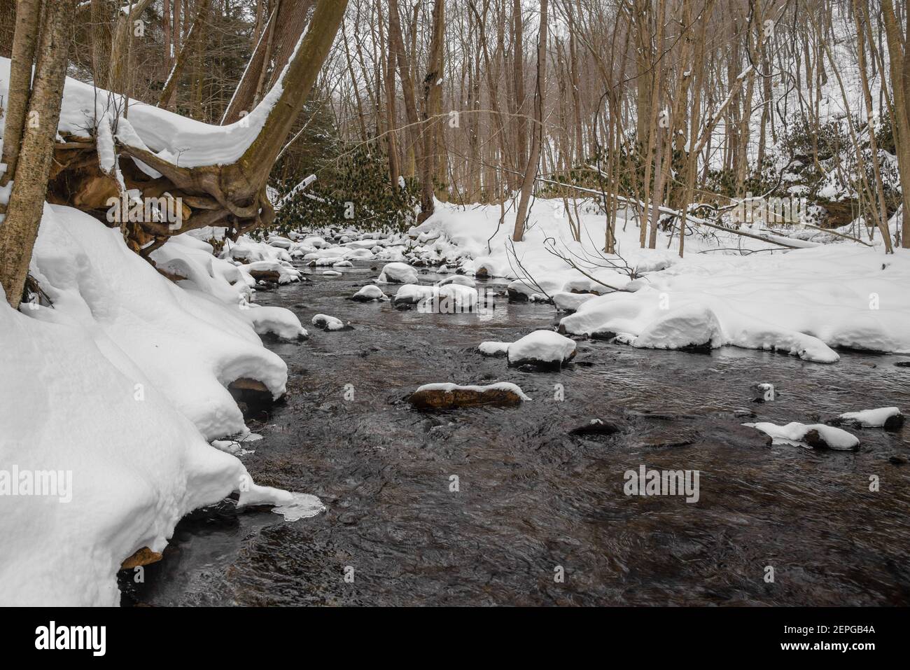 Icy bells hi-res stock photography and images - Alamy
