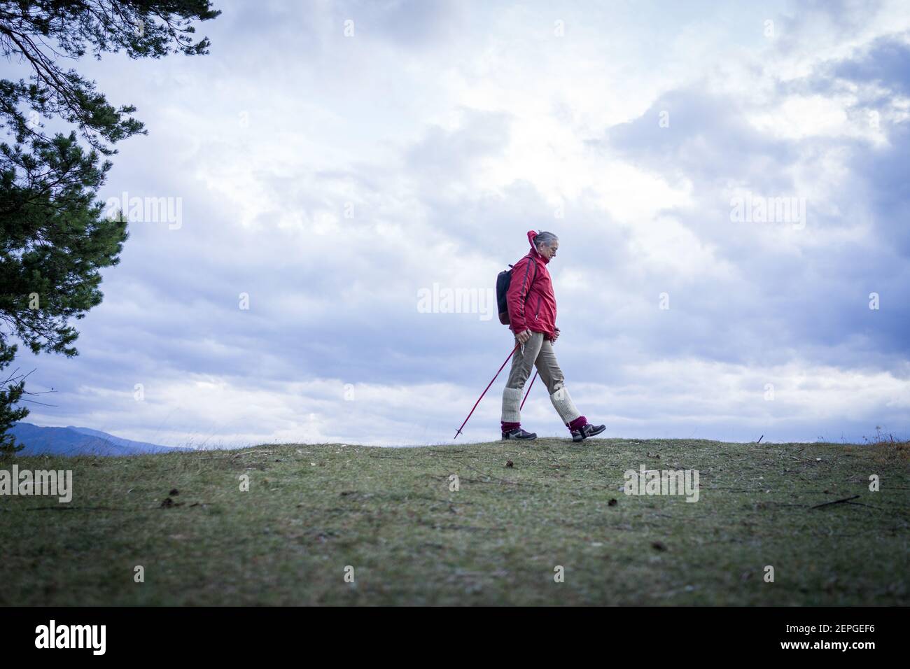 Active senior woman happy hanging from tree in the forest Stock Photo ...