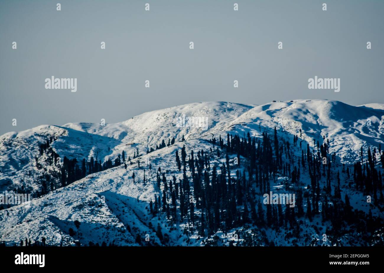 Patnitop a city of Jammu and its park covered with white snow, Winter ...