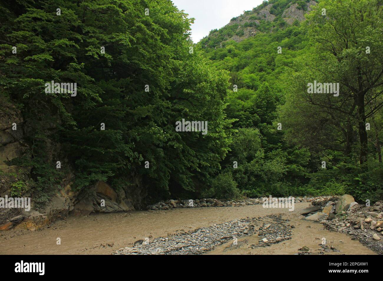 Mud stream in the mountains. After the rain Stock Photo - Alamy
