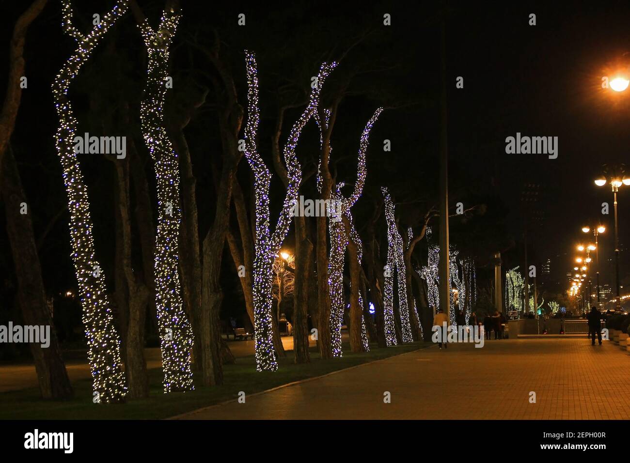Baku city. Azerbaijan. New Year. Ornate trees on the seaside boulevard ...