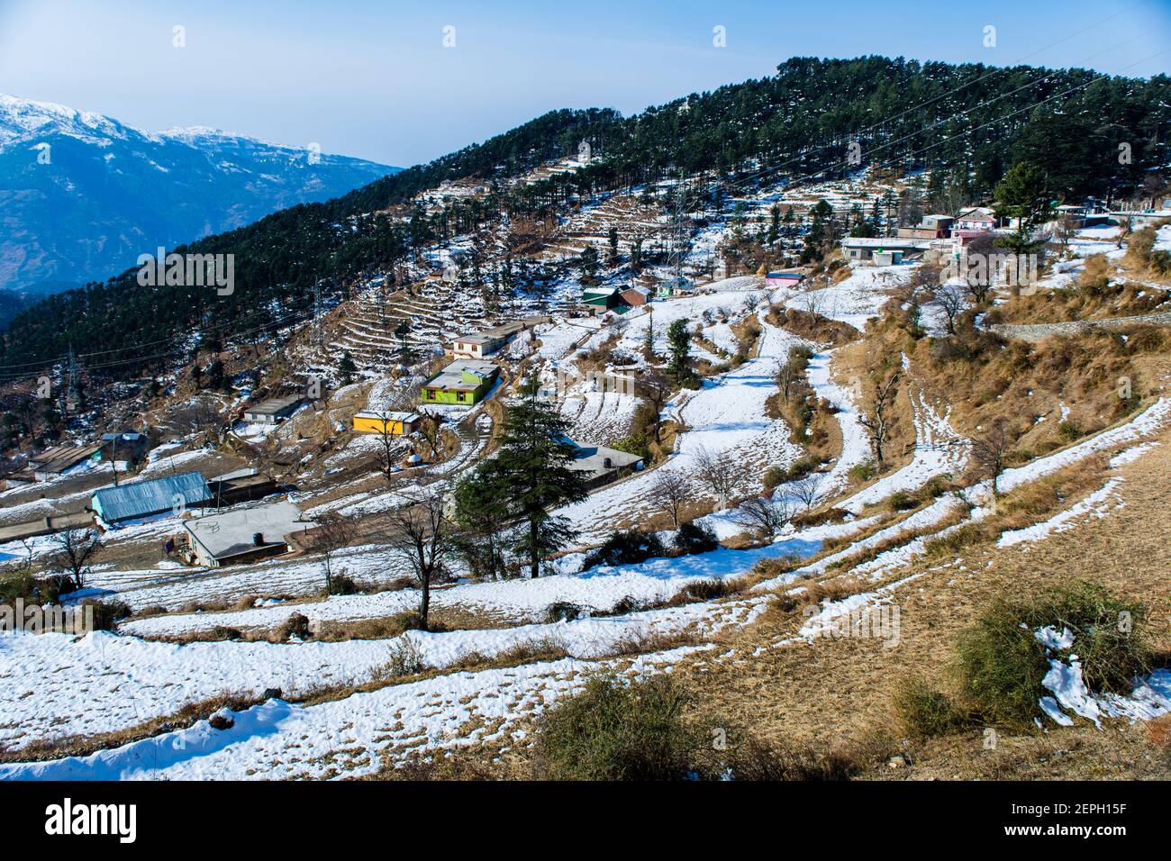Patnitop a city of Jammu and its park covered with white snow, Winter ...