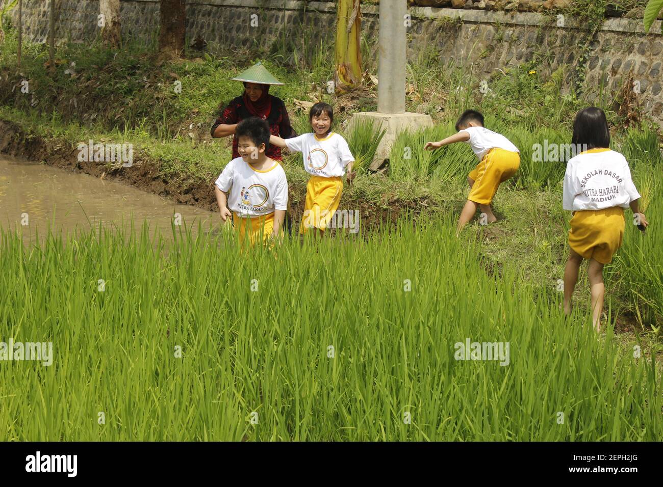 A number of students from one of the three language schools in ...