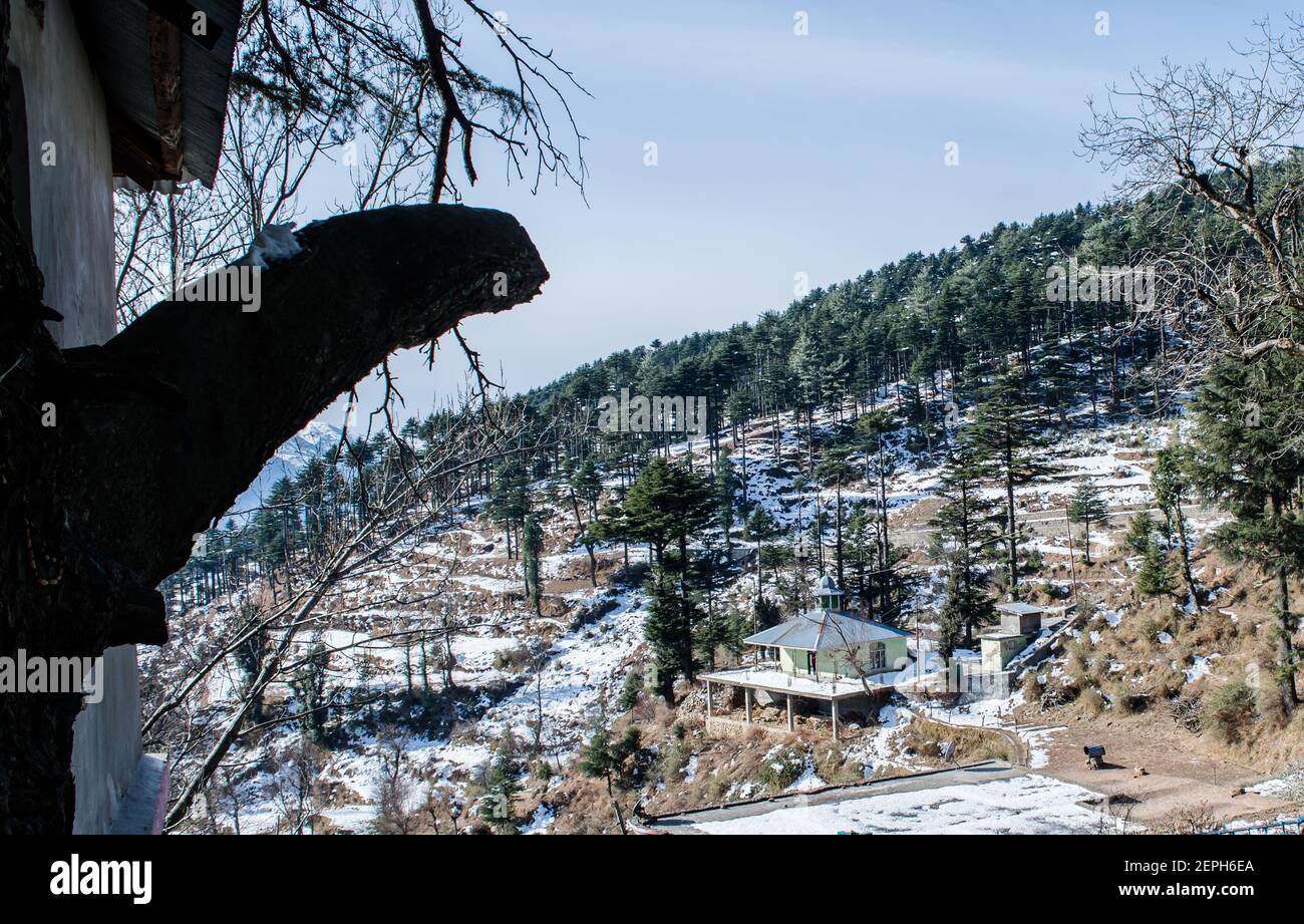 Patnitop a city of Jammu and its park covered with white snow, Winter ...