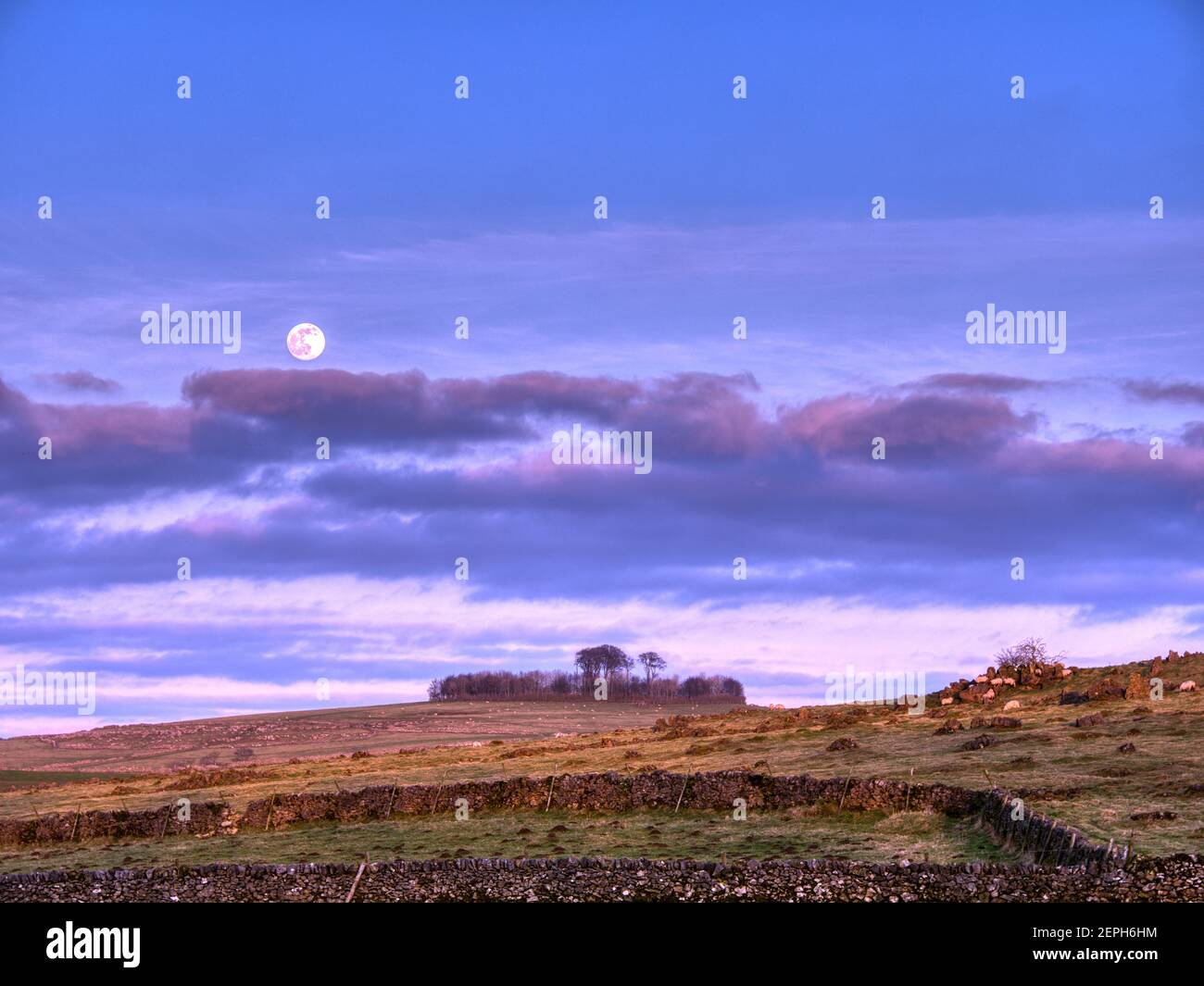 Safemoon hi-res stock photography and images - Alamy