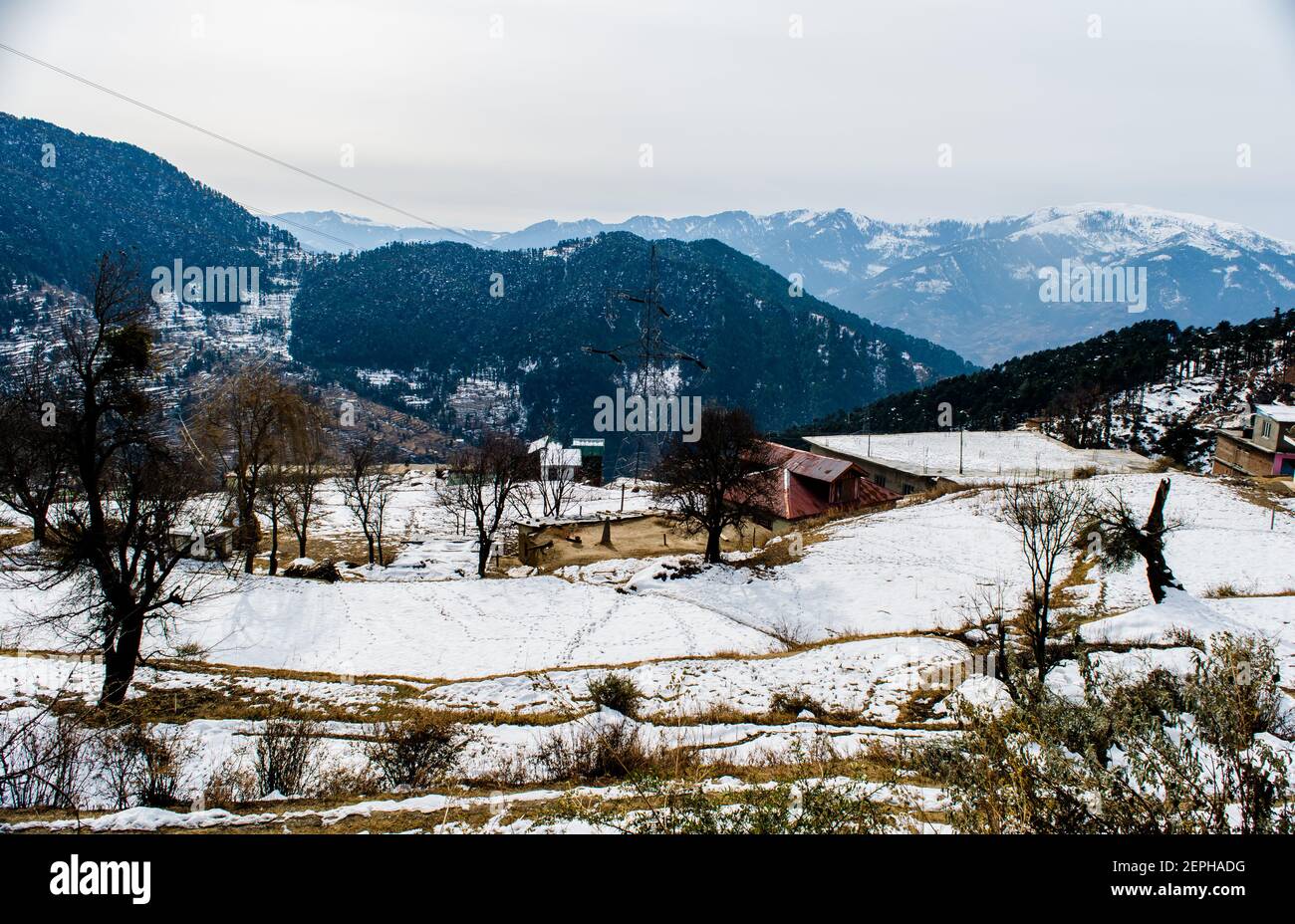 Patnitop a city of Jammu and its park covered with white snow, Winter ...
