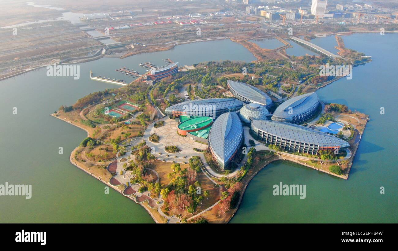 The bird view of Shanghai Free Trade Zone beside port-surrounding ...