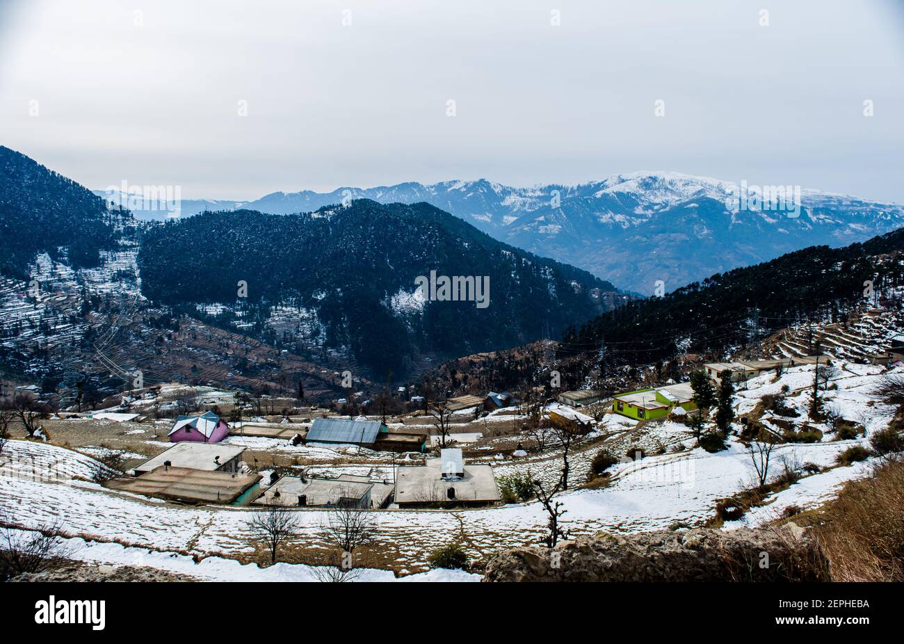 Patnitop a city of Jammu and its park covered with white snow, Winter ...