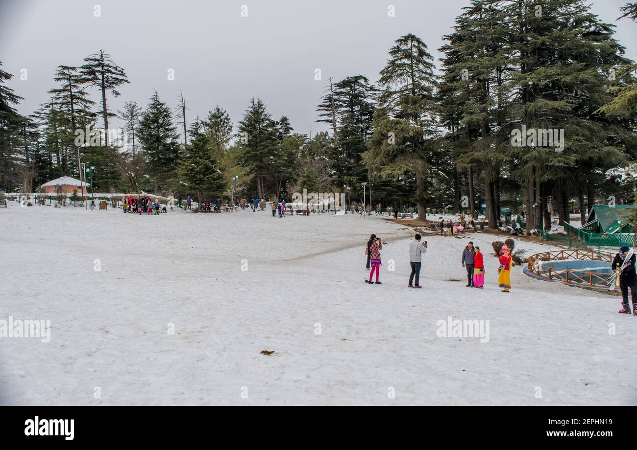 Patnitop a city of Jammu and its park covered with white snow, Winter ...