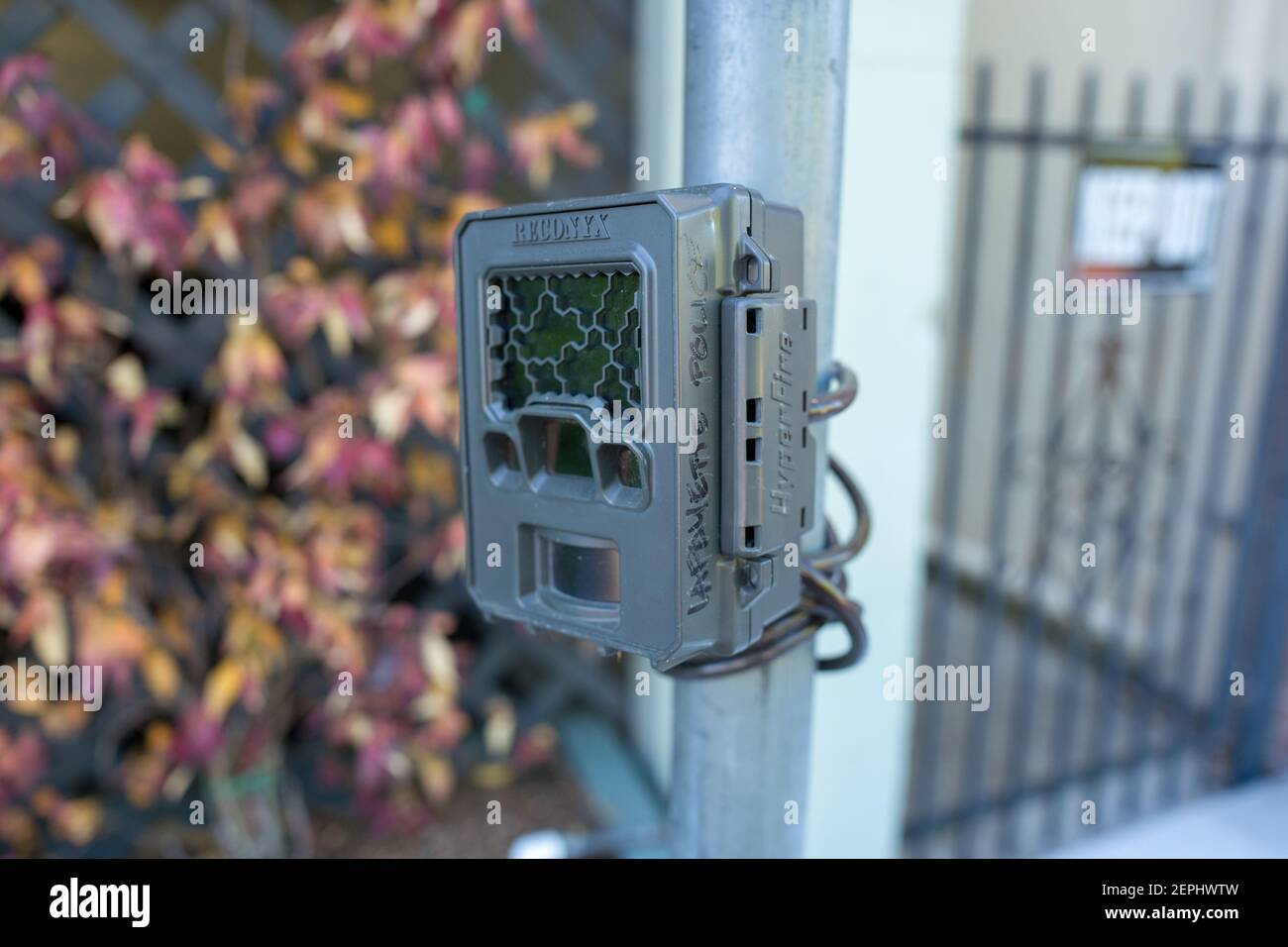 Close-up of Reconyx battery powered, portable surveillance or license ...