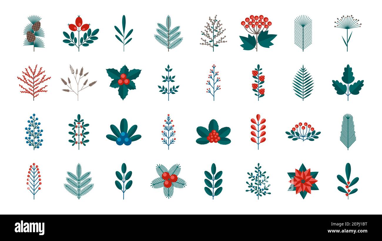 Merry christmas abstract botanical Stock Vector Images - Alamy