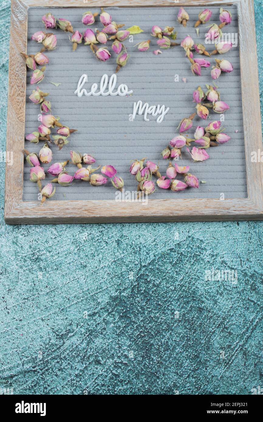 Hello may poster embedded on grey background with flower blossoms ...