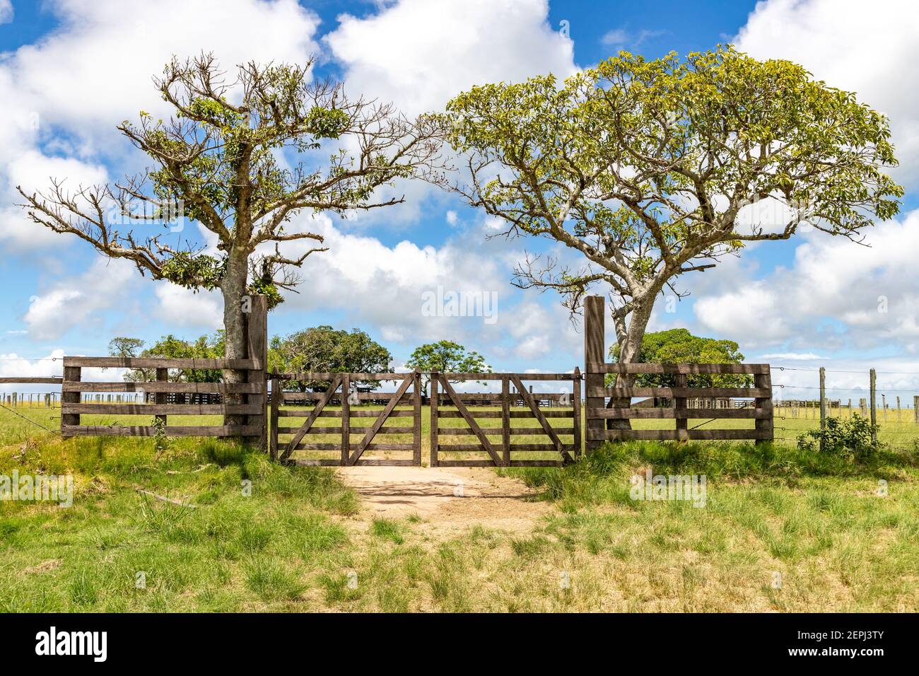 Farm wood gate with trees and iron fence, Tapes, Rio Grande do Sul ...