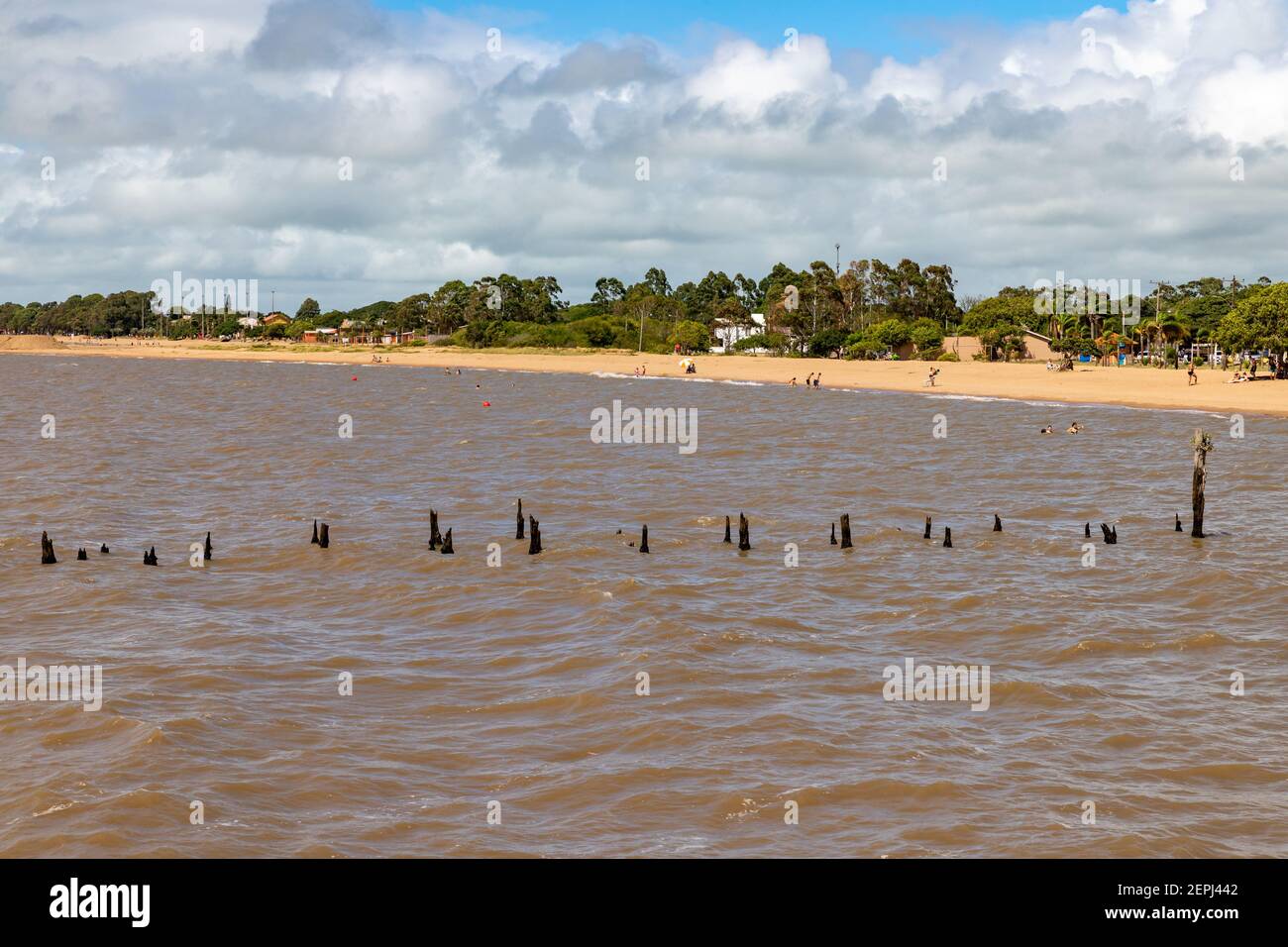 Beach in Lagoa do Patos lake, Tapes, Rio Grande do Sul, Brazil Stock ...