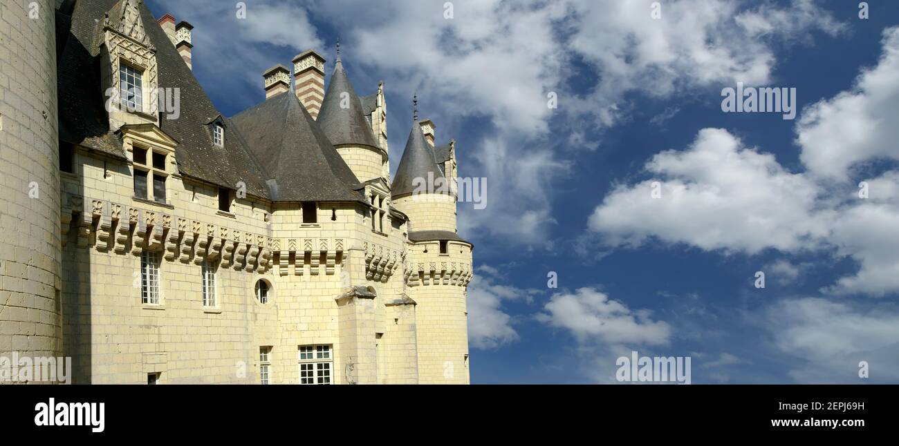 Usse Castle, Loire Valley, France --also known as Sleeping Beauty ...