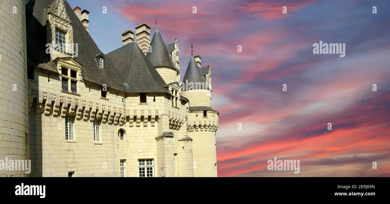 Usse Castle, Loire Valley, France --also known as Sleeping Beauty ...