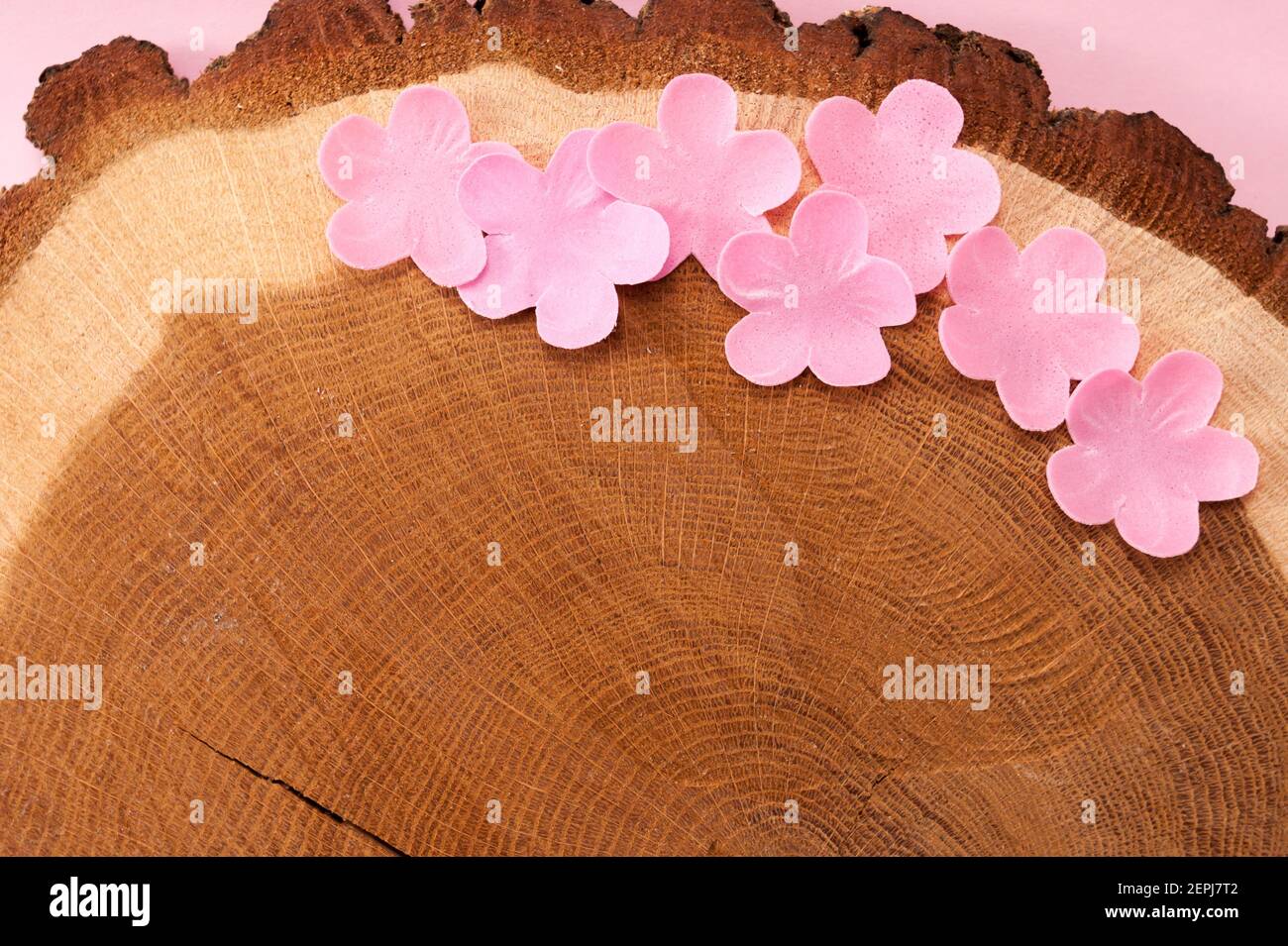 A tree slice from an older tree is used as a background. Several pink ...