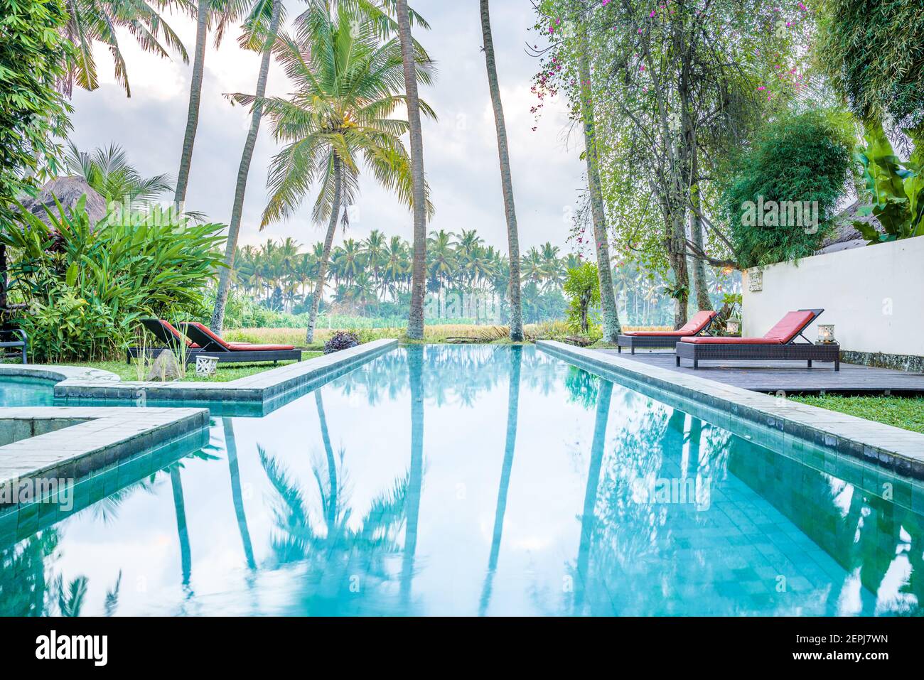 Luxury infinity pool and lounge setting in tropical garden landscape ...