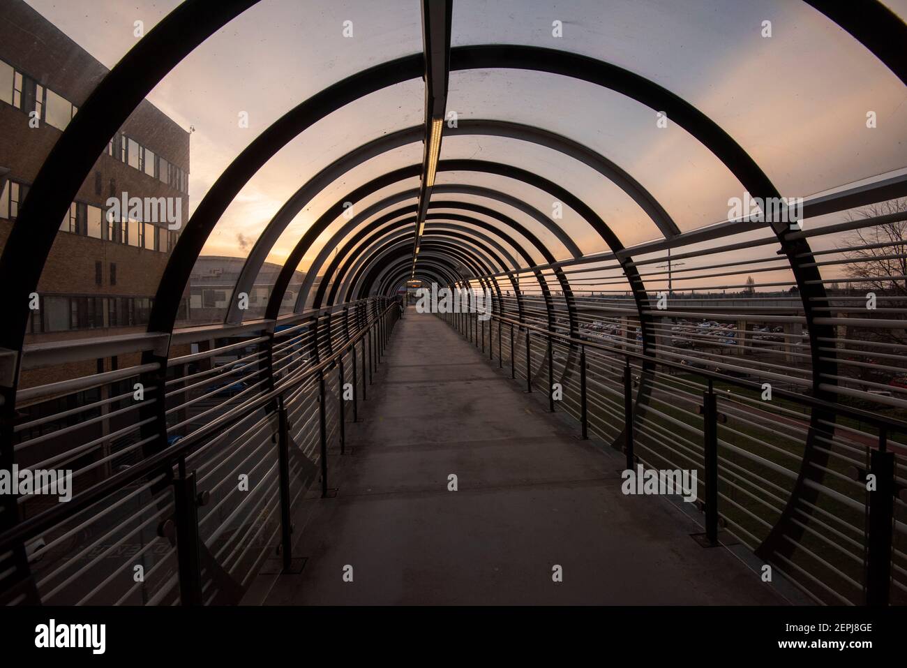 Peter mansfield mri hi-res stock photography and images - Alamy