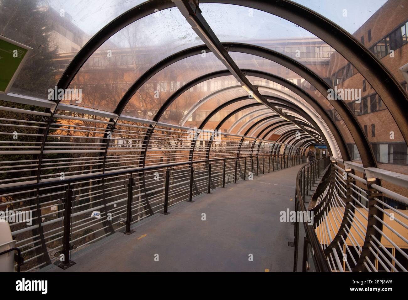 Morning light on the Sir Peter Mansfield tram bridge at the Queens ...