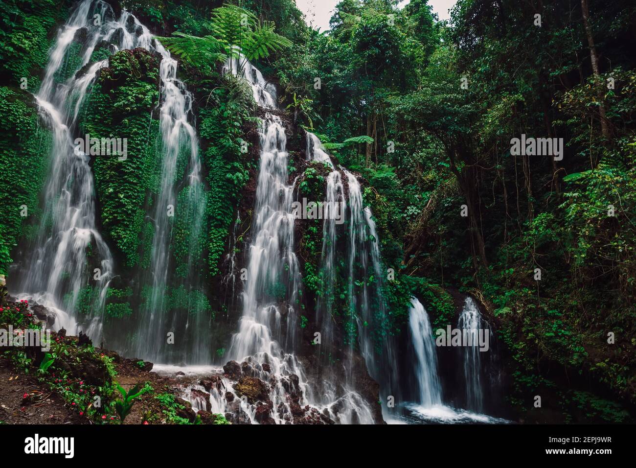 Cascade waterfall in tropical jungle in Indonesia Stock Photo - Alamy