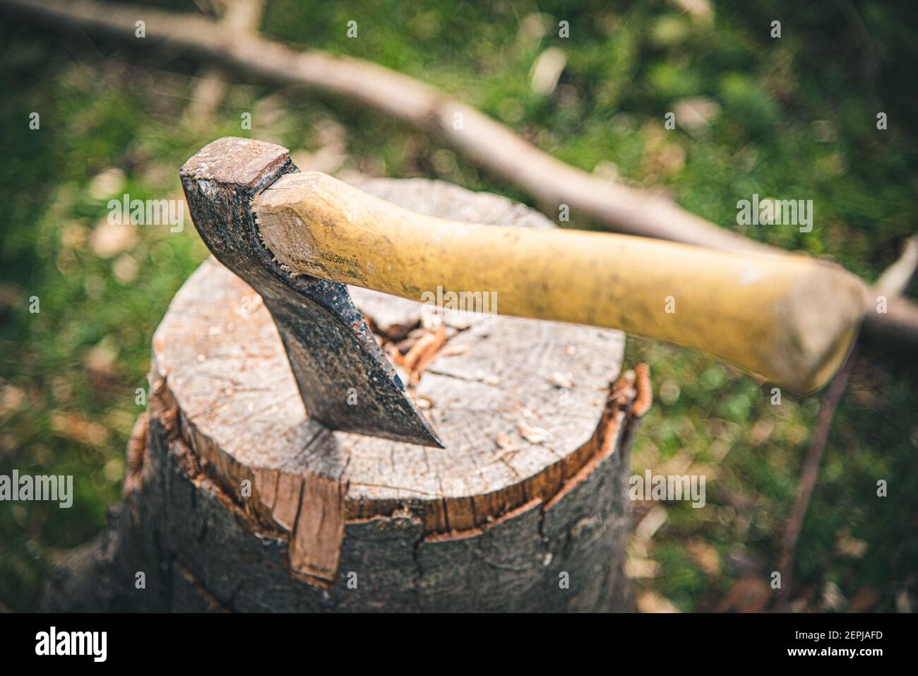 An ax sticking out in a tree stump Stock Photo - Alamy