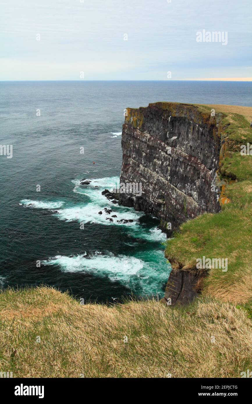 Cliffs of Latrabjarg in the Westfjords, Iceland Stock Photo - Alamy