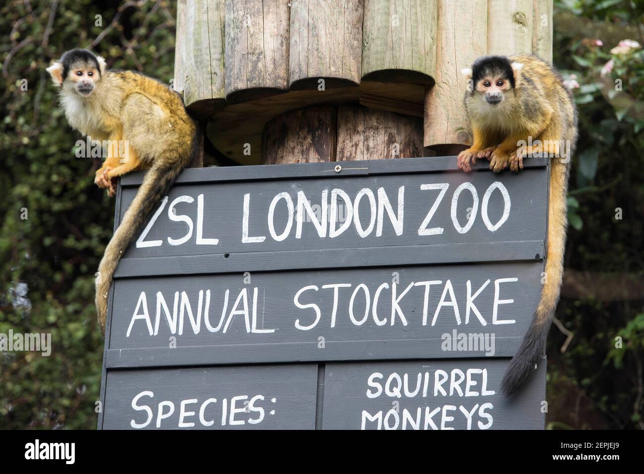 Zsl sign hi-res stock photography and images - Alamy