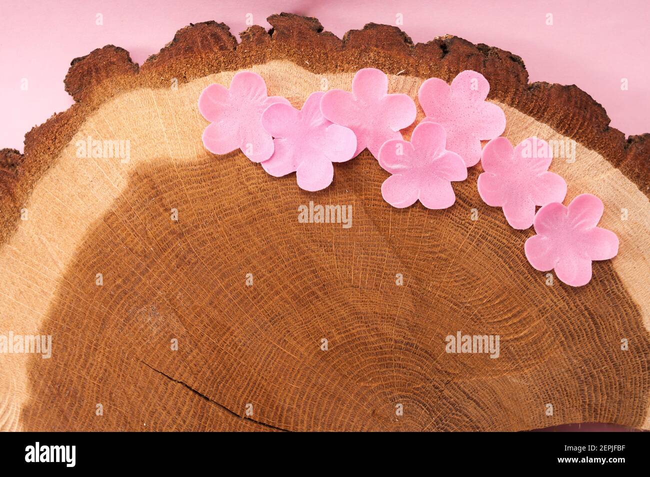 A tree slice from an older tree is used as a background. Several pink ...
