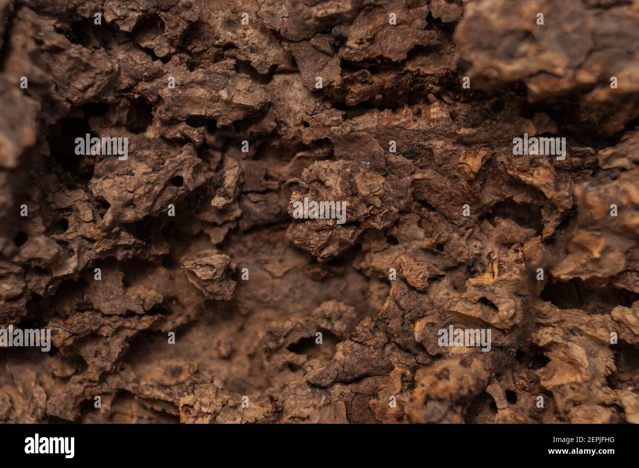 Section of a surface structure of cork. Tree bark in brown tones ...