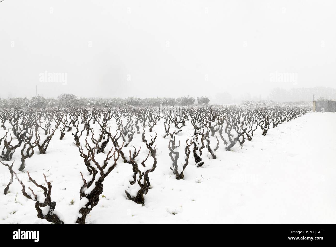 Snow in puglia hi-res stock photography and images - Alamy