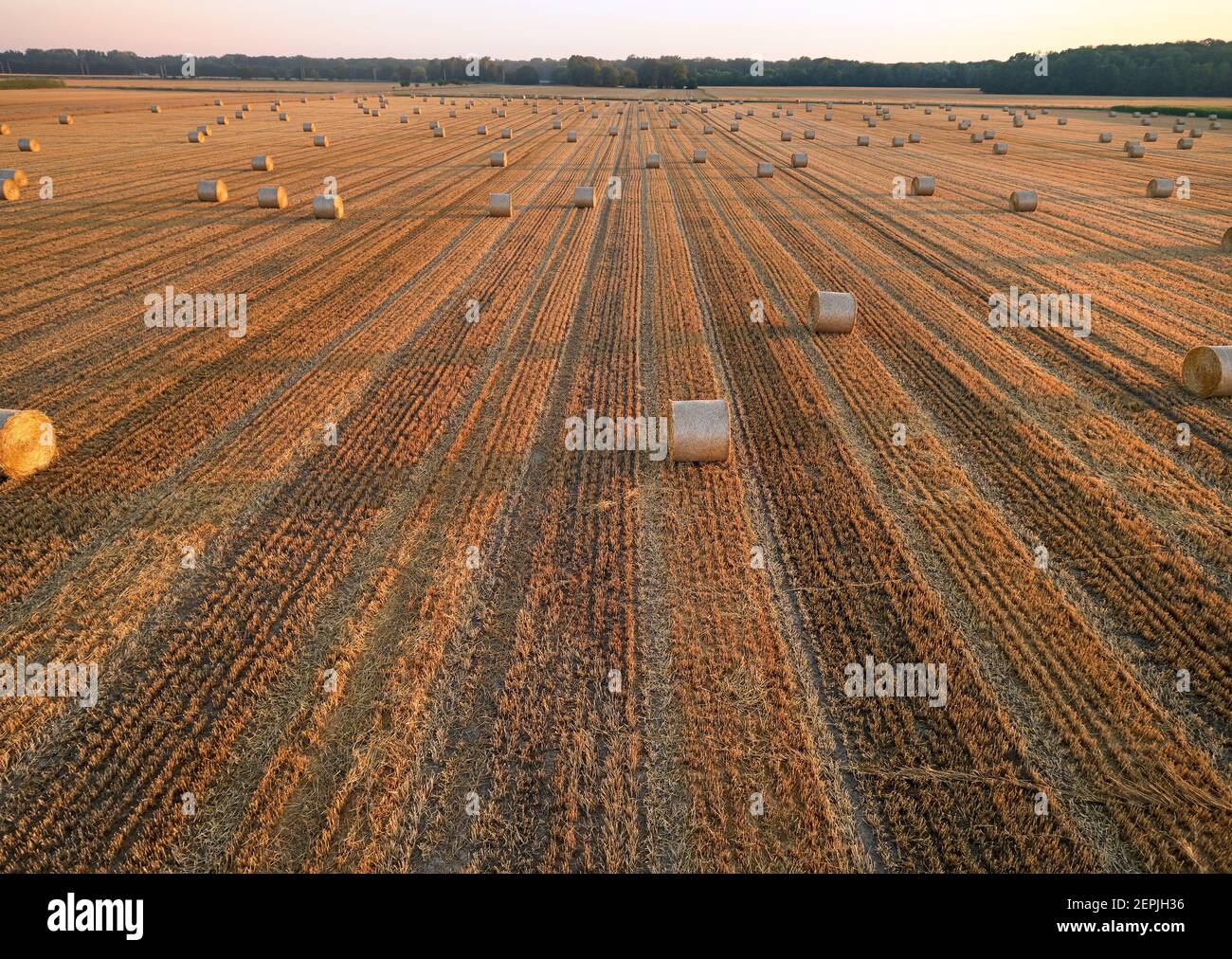 View from above of a field with straw bales after harvest in sunset ...