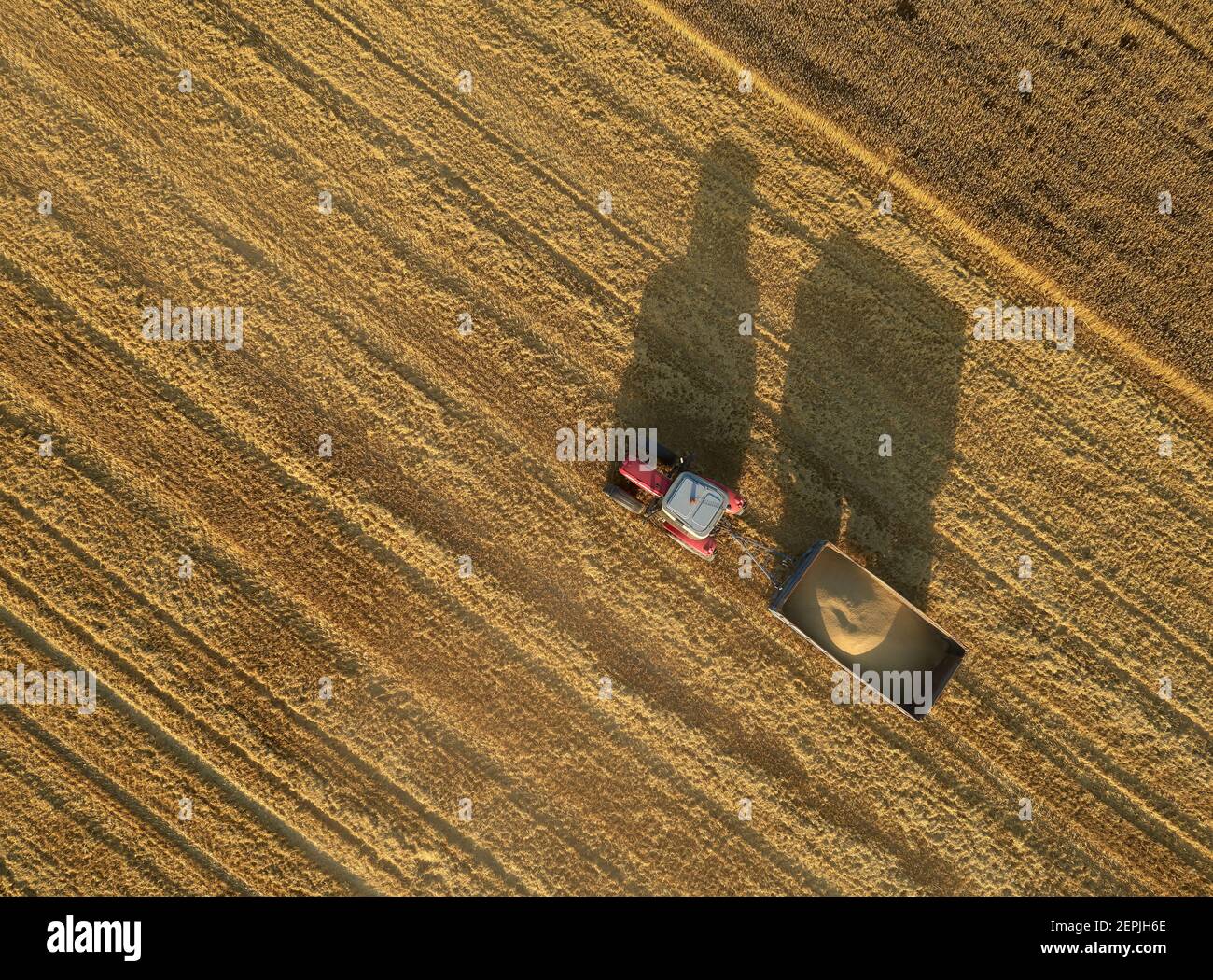 Aerial view of a tractor with siding full of grain, working in field ...