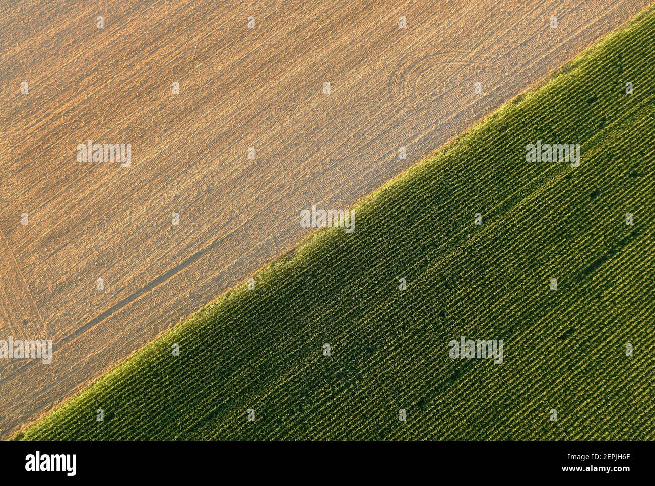Diagonaly hi-res stock photography and images - Alamy