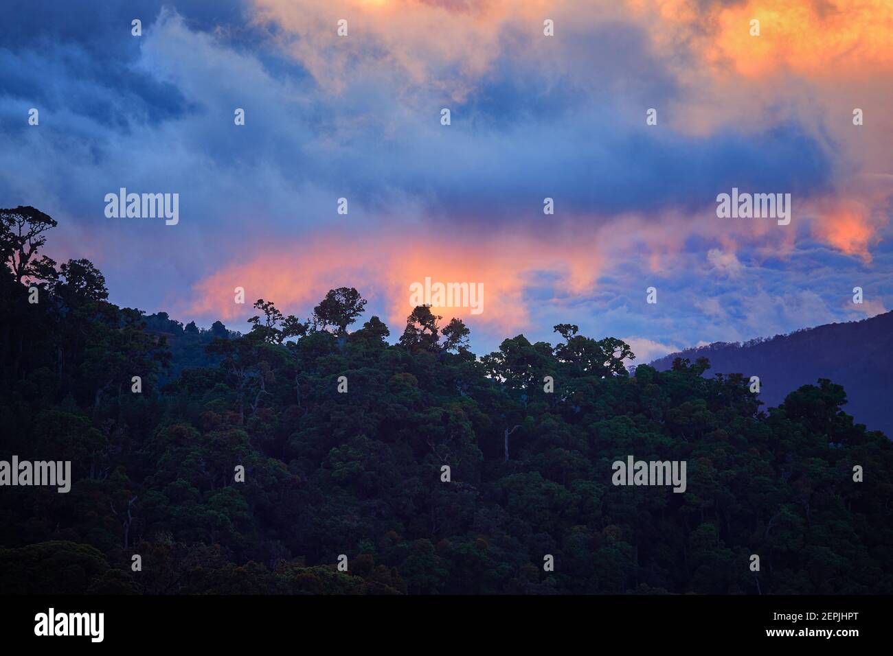 Evening view of the Costa Rican mountains, Cerro de la Muerte with a ...
