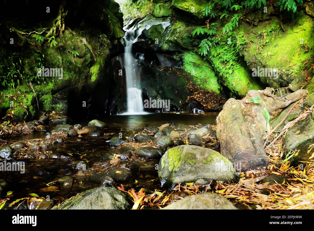 Waterfalls discovery in Azores, Terceira Stock Photo - Alamy
