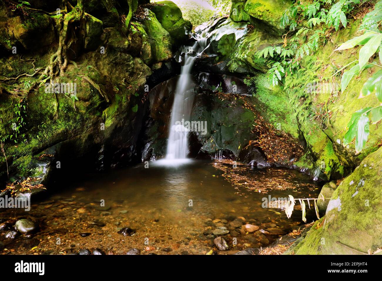 Waterfalls discovery in Azores, Terceira Stock Photo - Alamy