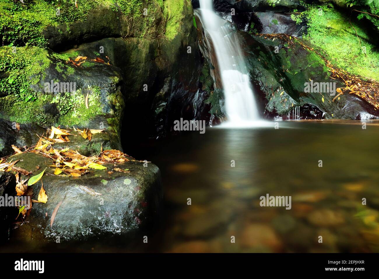 Waterfalls discovery in Azores, Terceira Stock Photo - Alamy