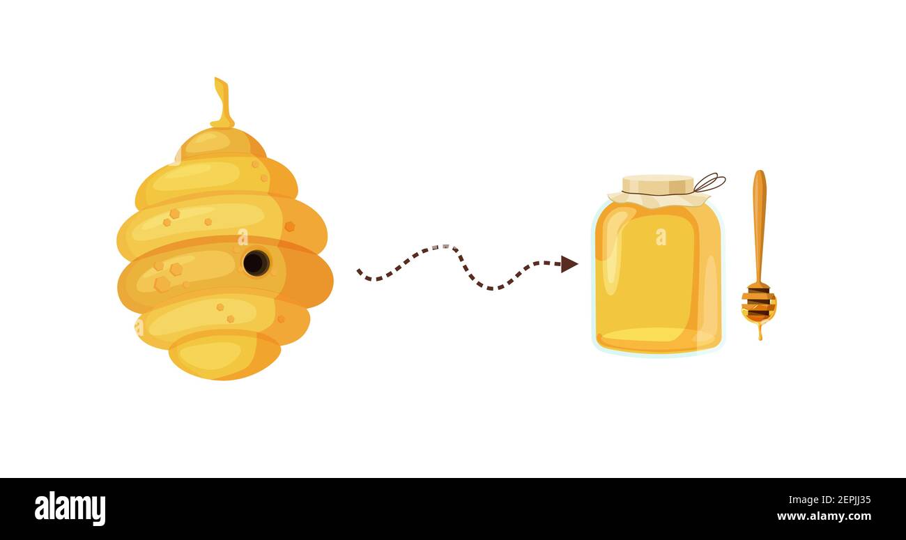 Bee hive with dotted arrow to jar honey clipart. Yellow layered nectar ...