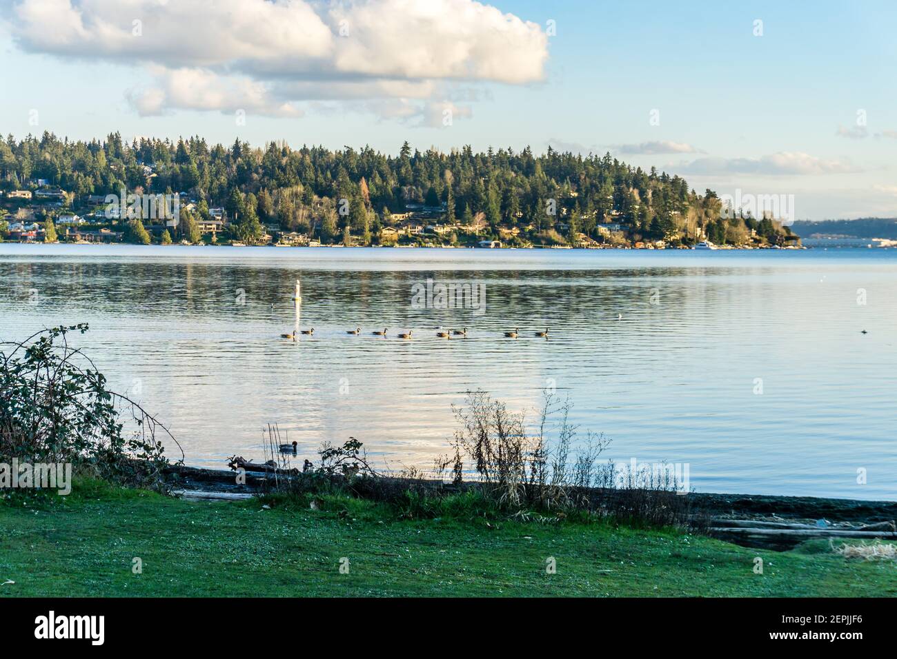 Clouds hover over Mercer Island on Lwke Washington in Washington State ...
