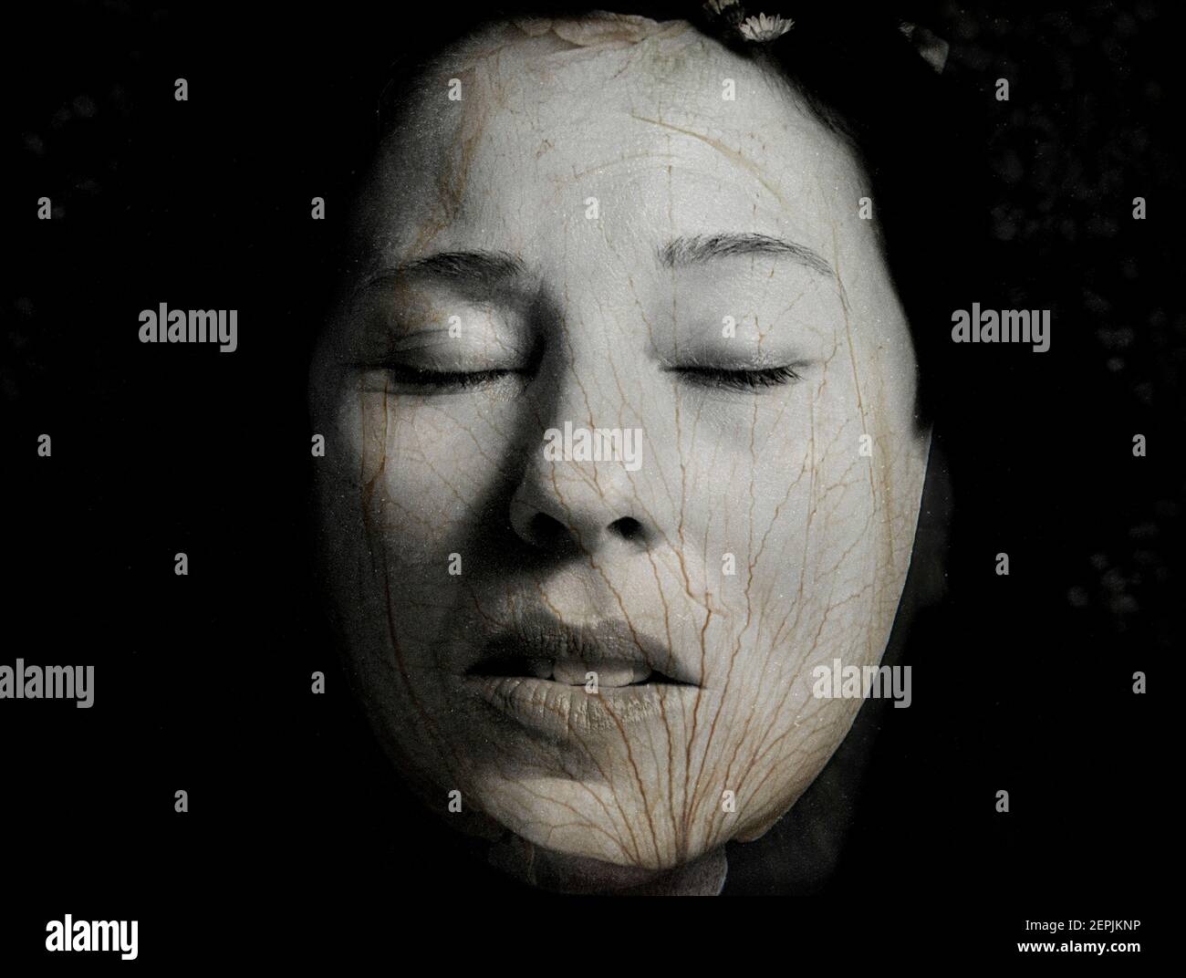 Neck Rose High Resolution Stock Photography and Images - Alamy