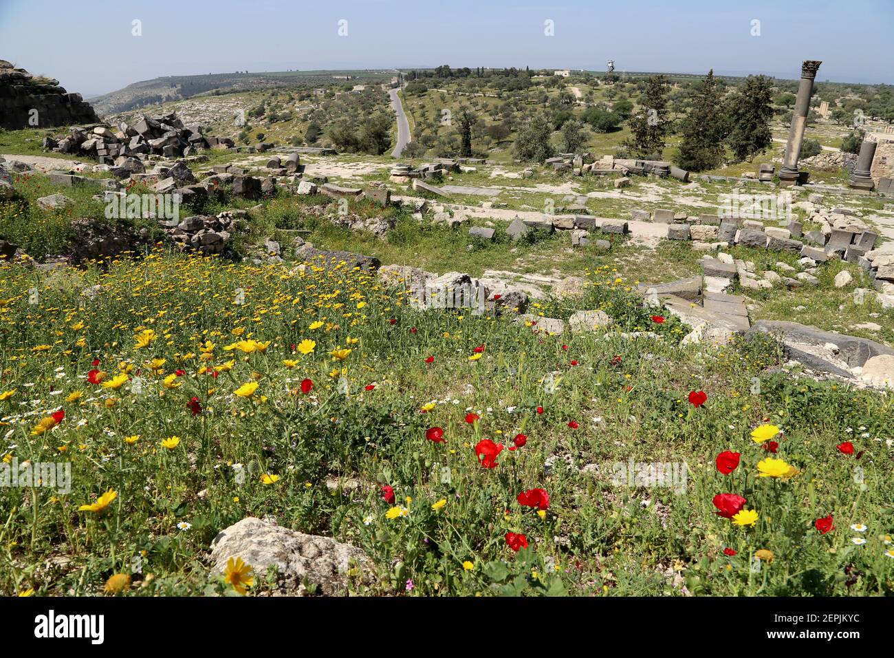 Roman ruins at Umm Qais (Umm Qays) --is a town in northern Jordan near ...