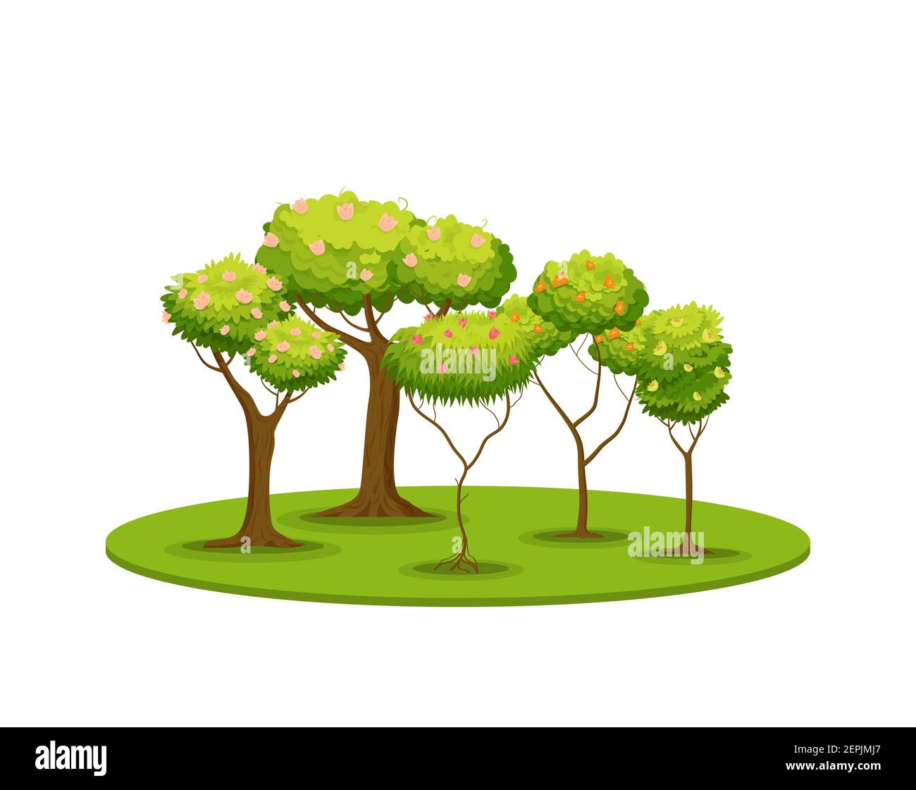 Pink Flowering Bushes Stock Vector Images Alamy