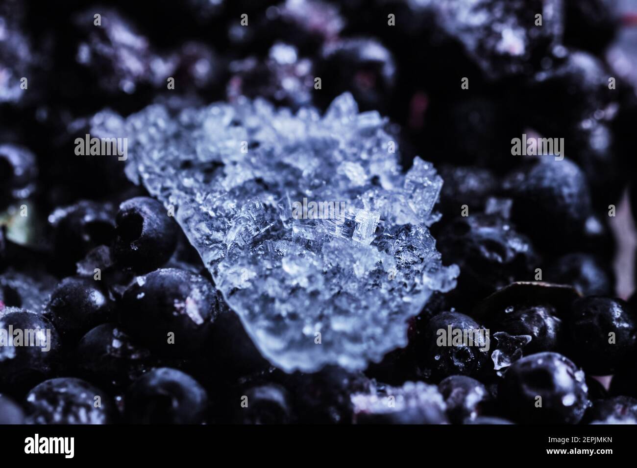 Mixes berries hi-res stock photography and images - Alamy