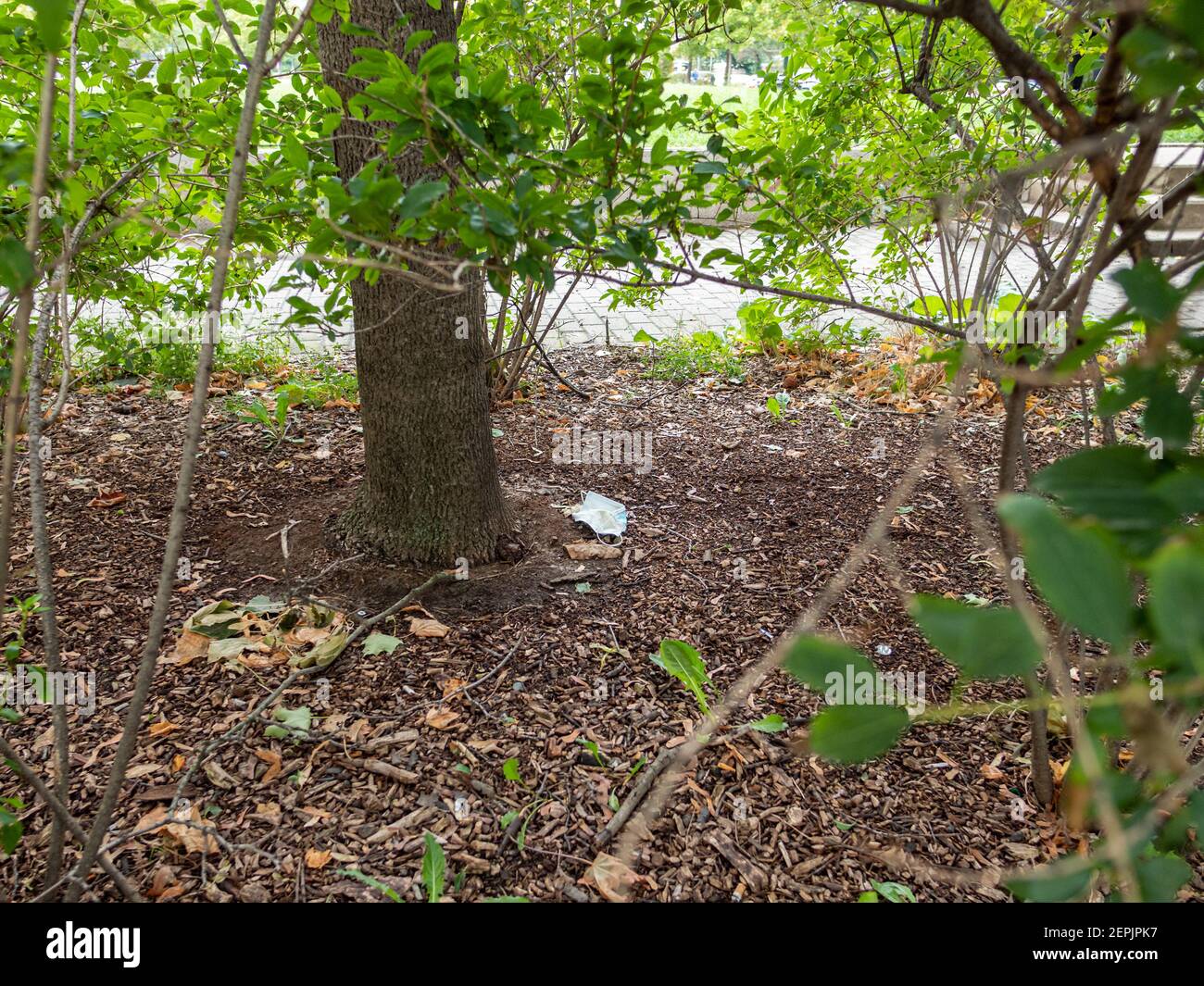 Plastic pollution tree hi-res stock photography and images - Alamy