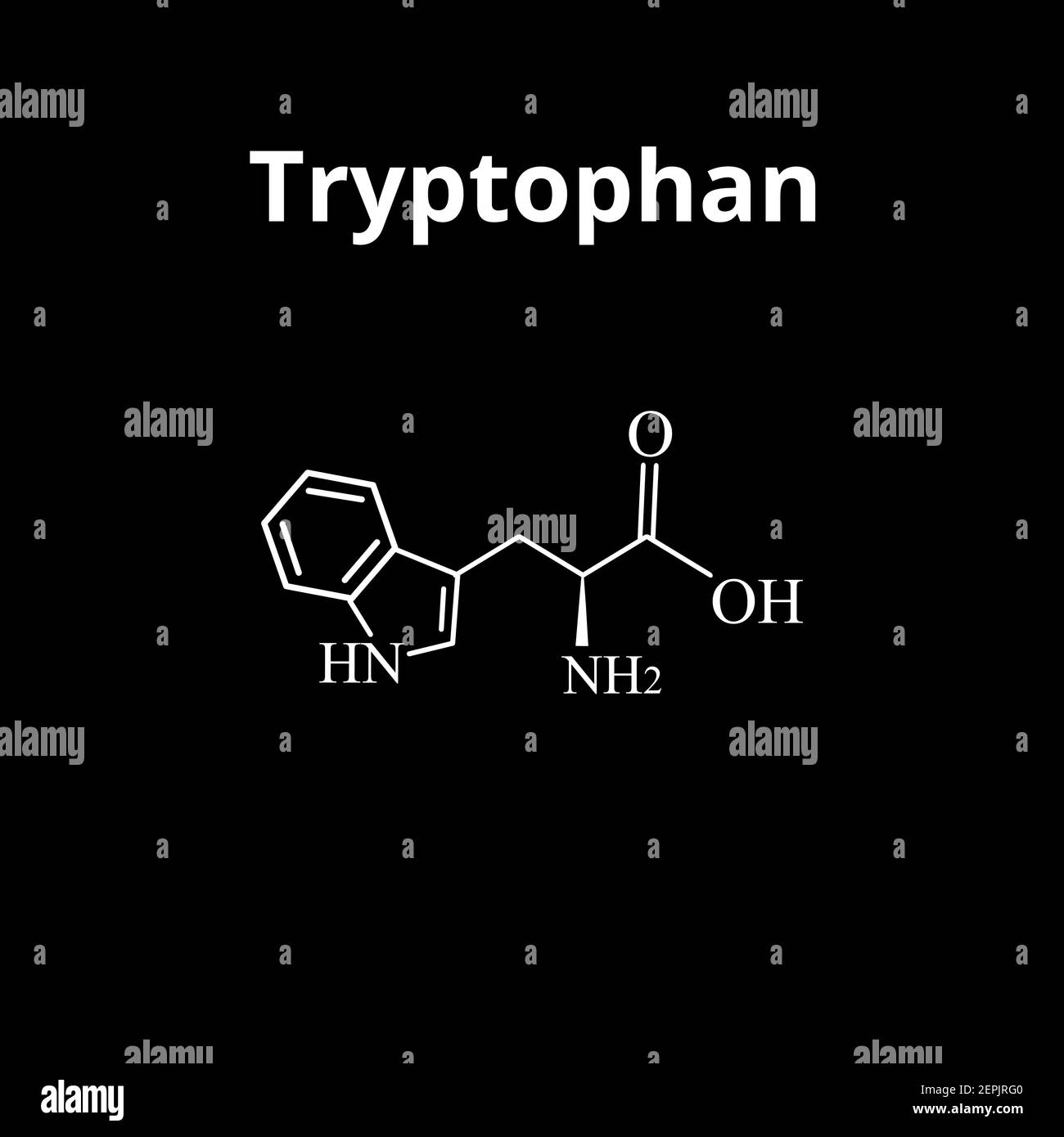 Tryptophan Amino Acid Chemical Molecular Formula Of Tryptophan Amino Acid Vector Illustration