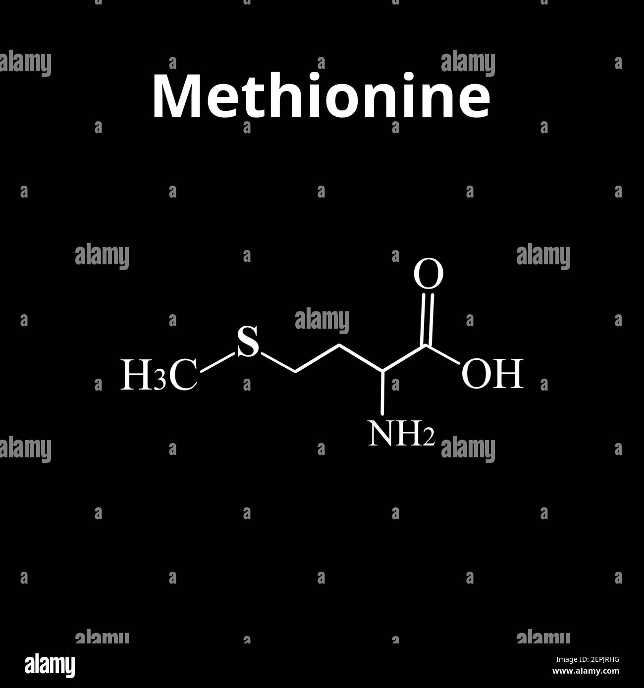 Methionine Lewis Structure